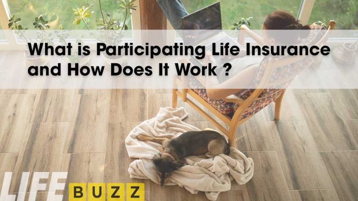 Participating Life Insurance: Is It Worth The Cost In Canada?