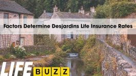 Desjardins Life Insurance In Canada: A 2025 Review