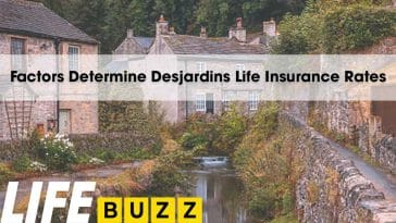 Desjardins Life Insurance In Canada: A 2025 Review