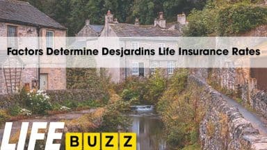 Desjardins Life Insurance In Canada: A 2025 Review