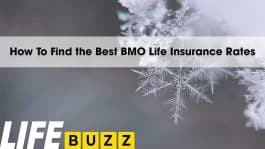 BMO Life Insurance In Canada: What You Need To Know Before Making A ...
