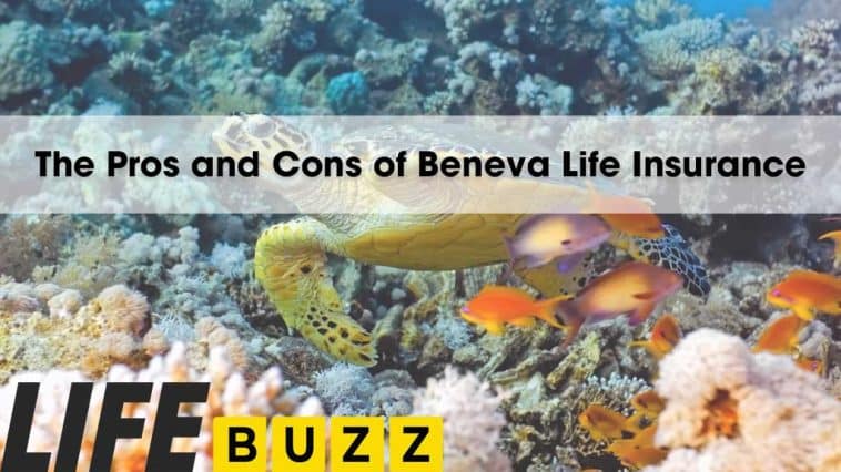 Beneva Life Insurance: A Complete Review For Canadians 2025