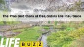 Desjardins Life Insurance In Canada: A 2025 Review