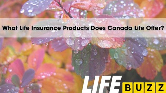 Canada Life Insurance Review: A Complete Guide