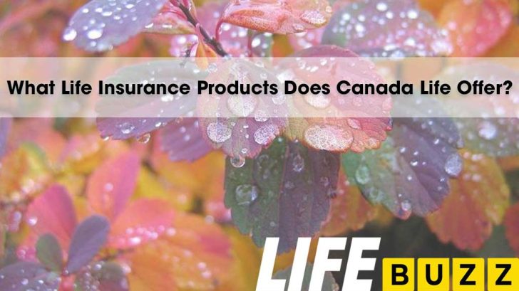 Canada Life Insurance Review: A Complete Guide