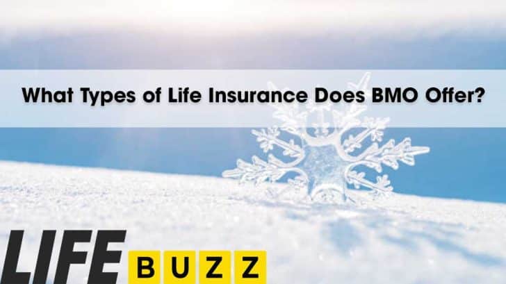 BMO Life Insurance In Canada: What You Need To Know Before Making A ...