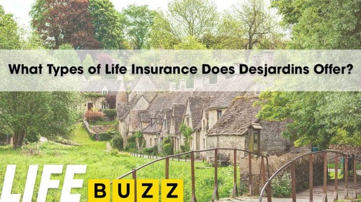 Desjardins Life Insurance In Canada: A 2025 Review