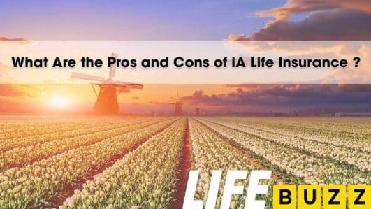 Industrial Alliance Life Insurance: An Unbiased 2024 Review