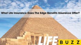 The Edge Benefits Insurance Review In Canada 2025
