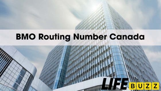 How To Find BMO Routing Number, Institution & Transit Codes