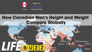 Average Height And Weight For Men In Canada