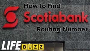 Scotiabank Routing Number, Transit Number And Institution Number