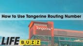How To Find Your Tangerine Routing Number In Canada