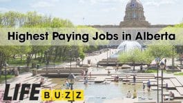 Average Salary In Alberta: A Deep Dive Analysis