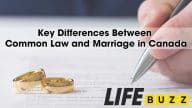 Common Law Relationships In Canada 2024