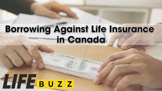 How To Borrow Against Life Insurance In Canada