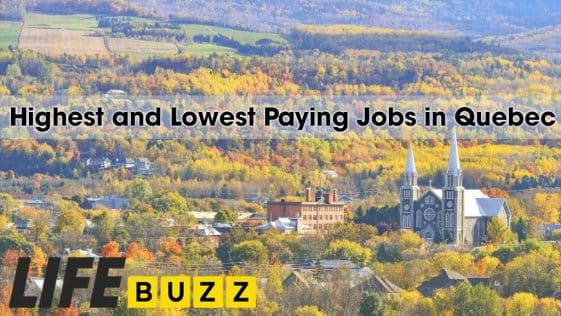 Average Salary In Quebec: A Detailed Overview This Year