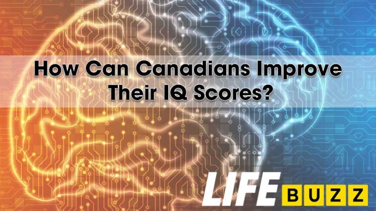 Average IQ In Canada: Exploring The Nation's Global Ranking And The ...