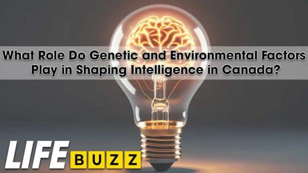 Average IQ In Canada: Exploring The Nation's Global Ranking And The ...