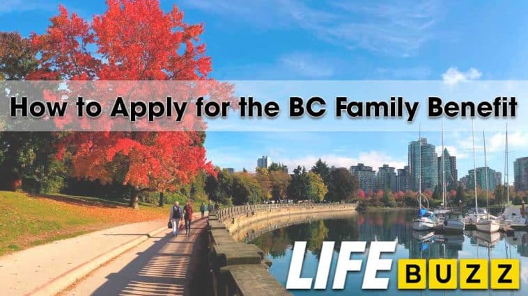 BC Family Benefit: Eligibitity And Rates For 2025-2026