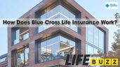 Blue Cross Life Insurance Reviews