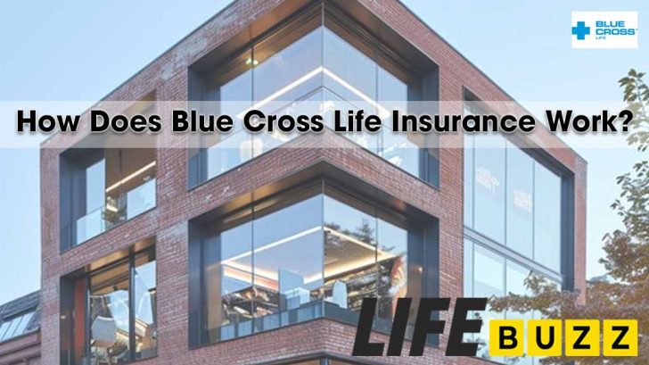 Blue Cross Life Insurance Reviews