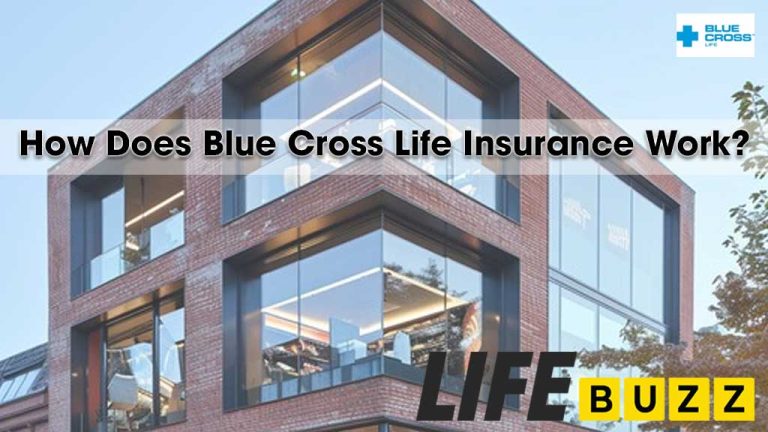 Blue Cross Life Insurance Reviews