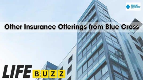 Blue Cross Life Insurance Reviews