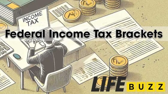 Canadian Income Tax Brackets In 2024 And 2025