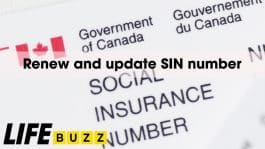 How To Renew SIN Number In Canada?