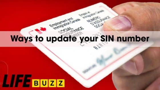How To Renew SIN Number In Canada?